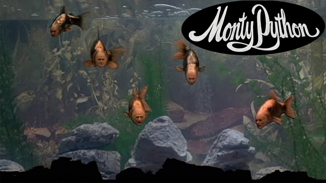 ‘Find The Fish’, The Classic Surreal Intermission Sketch From Monty ...