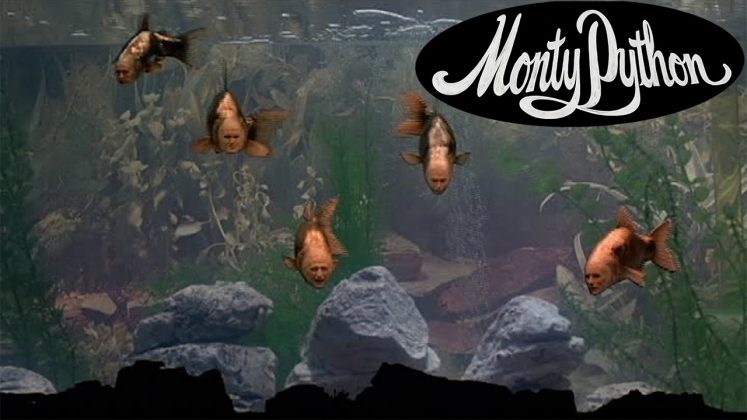 ‘Find The Fish’, The Classic Surreal Intermission Sketch From Monty ...