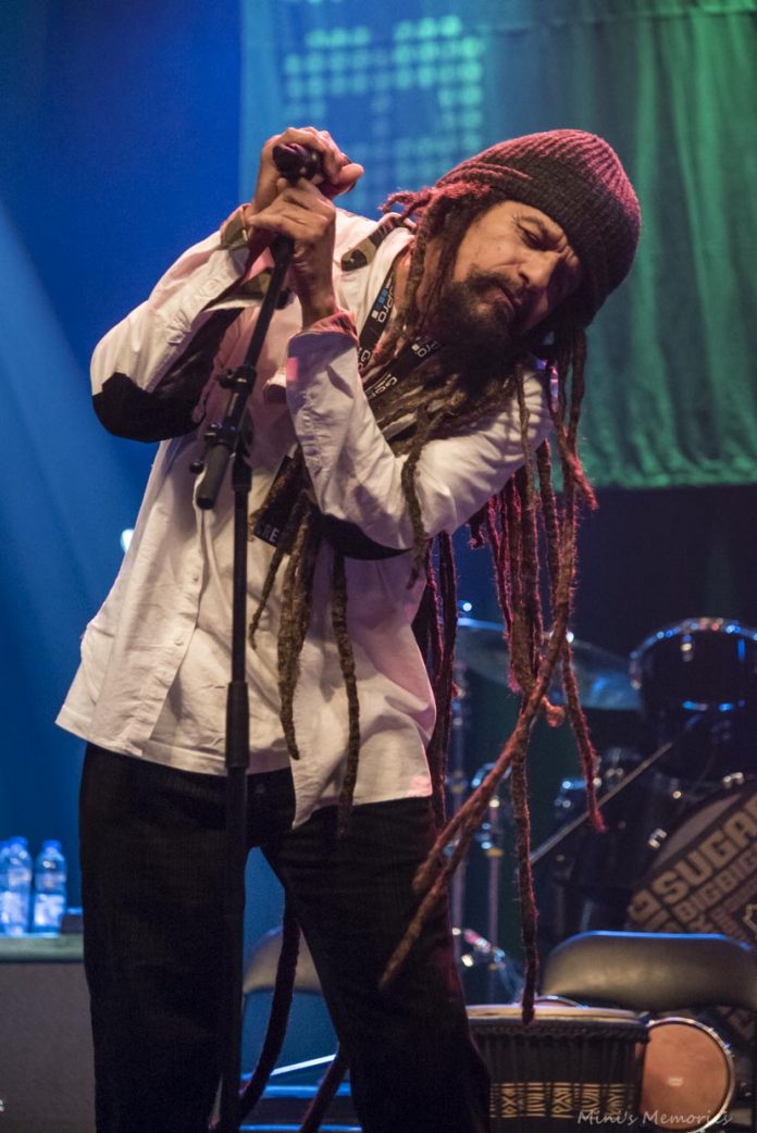 Photo Gallery: Big Sugar - Tribute to Garry Lowe at Toronto's Danforth ...