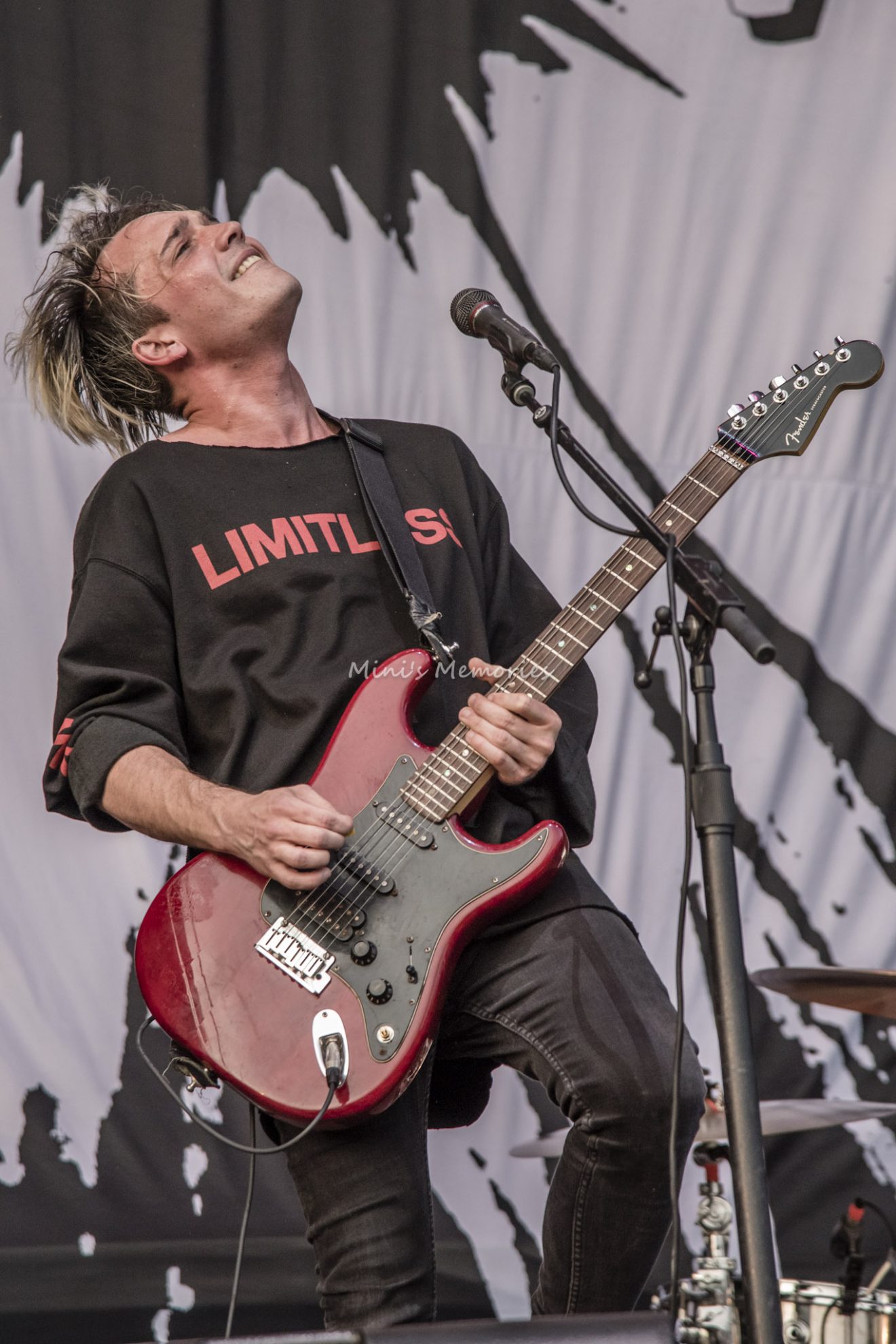 Photo Gallery: Shinedown with BadFlower, Dinosaur Pile-Up and Broken ...