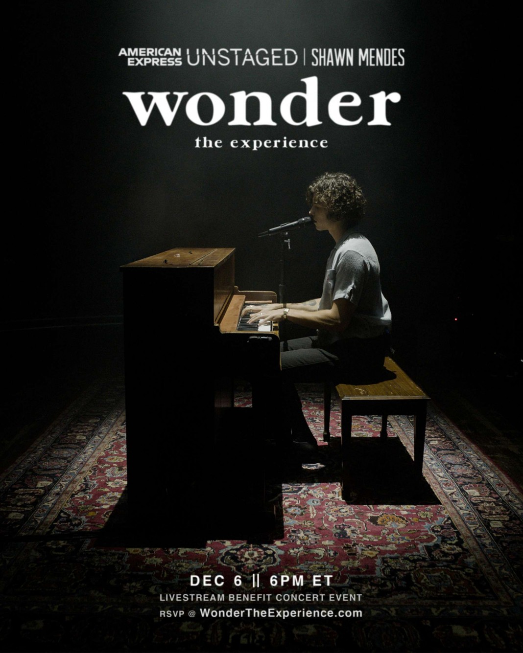 Shawn Mendes Announces Wonder: The Experience, Livestream Benefit ...