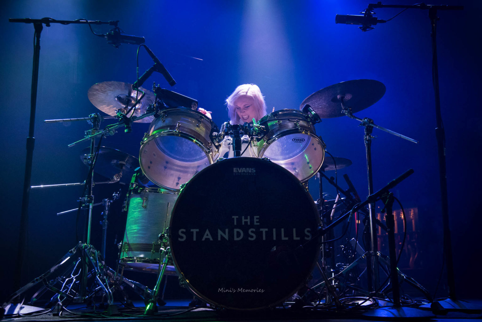 Photo Gallery: Bush with The Standstills at Toronto's History - That ...