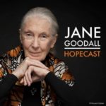Remembering Jane Goodall: 100 Amazing Facts About a Life That Changed ...