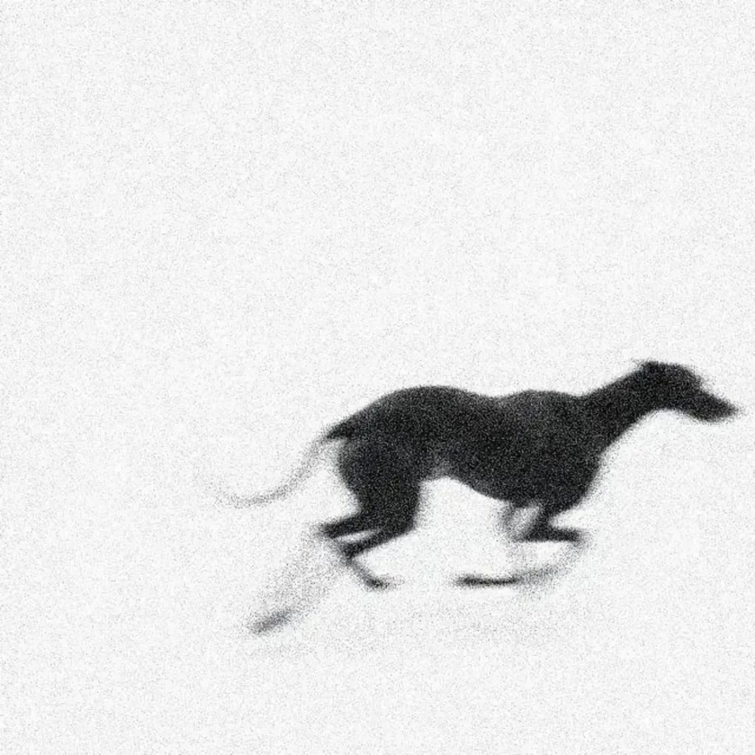 Feral Family Return With New EP 'So Far Behind' And 2026 UK Live Dates ...