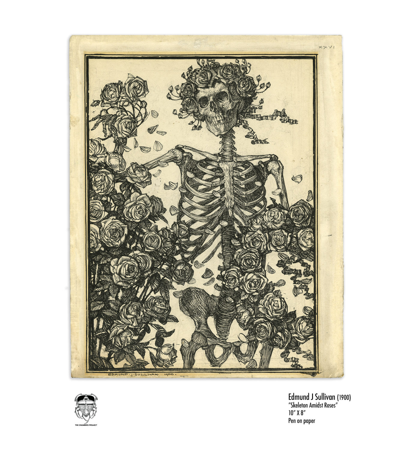 The Chambers Project Presents 60 Years Of The Grateful Dead Exhibition ...