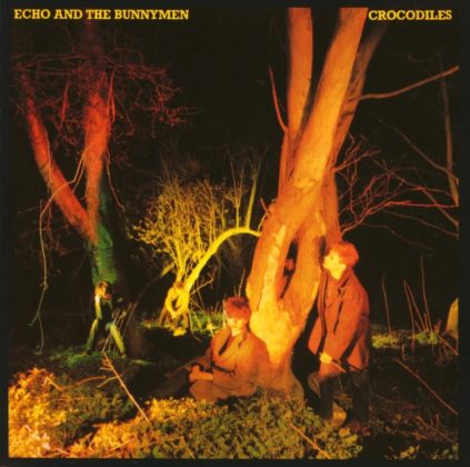 5 Surprising Facts About Echo & the Bunnymen's 'Crocodiles' - That Eric ...